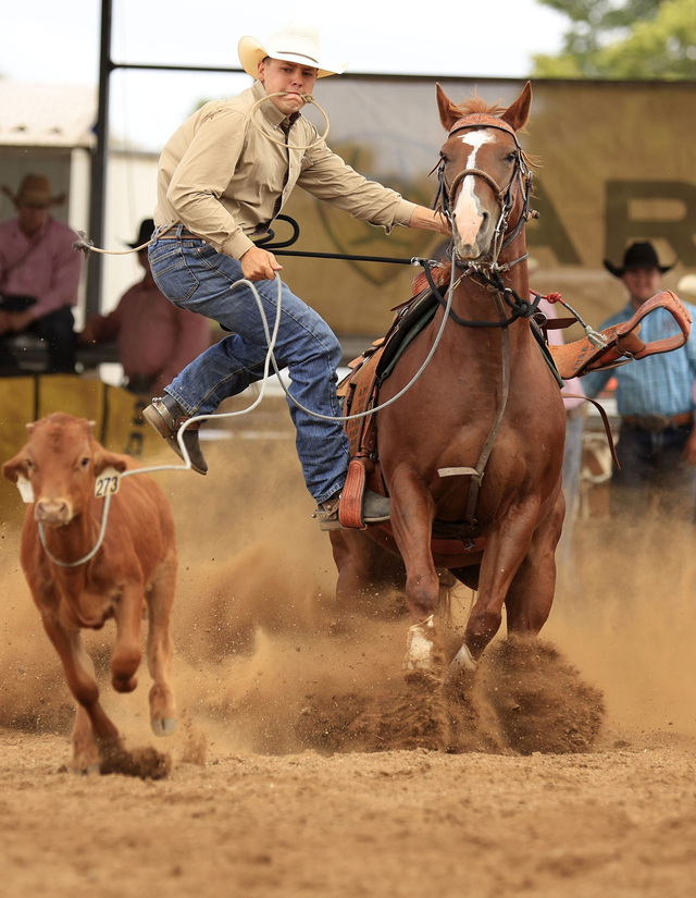 Rodeo ready to deliver the entertainment | Emerald Today