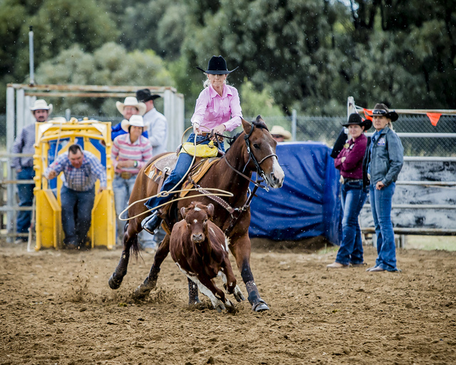Rodeo reigns supreme | Emerald Today
