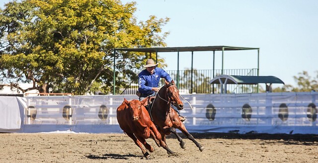 Going for Gold | Emerald Today